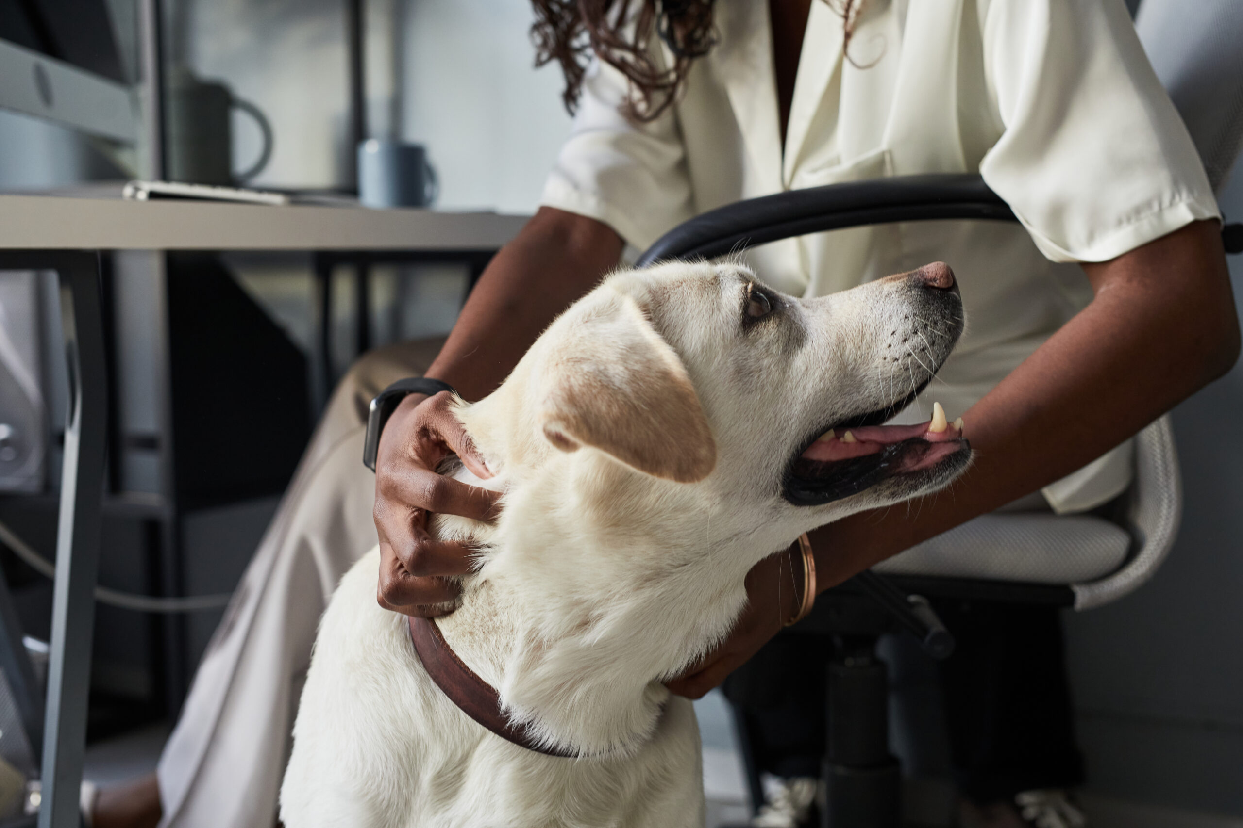 Owner of Attacked Service Dog Can File Claim of Emotional Distress by ...